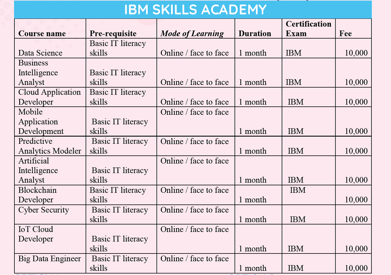 IBM Skills Academy - Mama Ngina University College